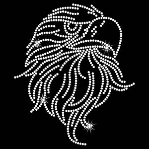 Amazon.com: 2 Pieces Eagle Crystal Rhinestone Iron-on Decal Transfers ...