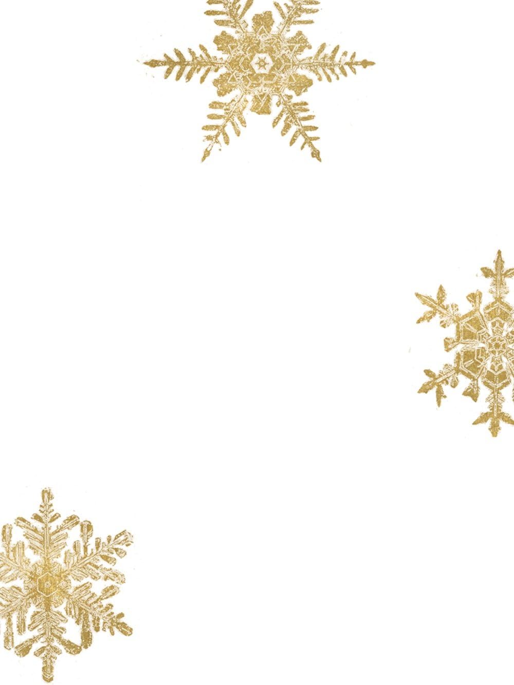 Amazon.com: Entertaining with Caspari Falling Snow Blank Invitations ...