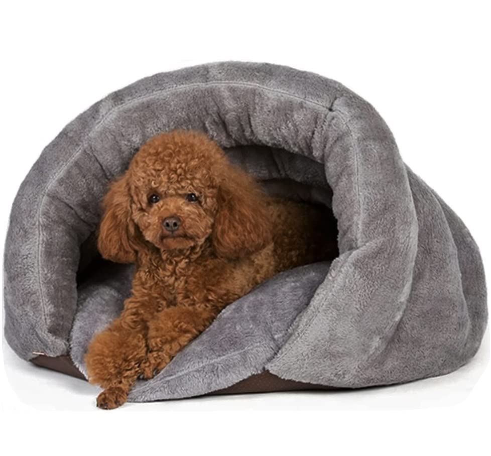 Saco Gato Lidl ⊛ Comparativa de precios en 2024