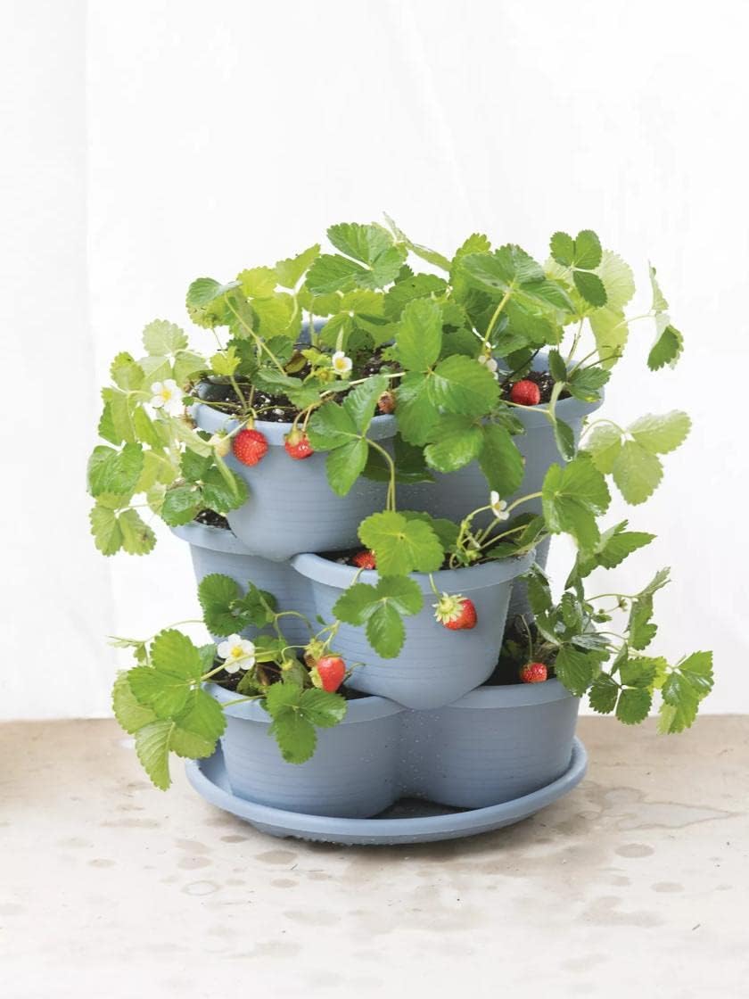 Amazon.com : Vertical Gardening Stackable Planter - Build Simple ...