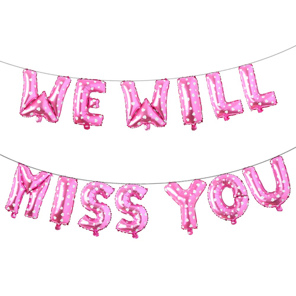 Farewell Party Decorations Supplies We Will Miss You Balloon Banner ...
