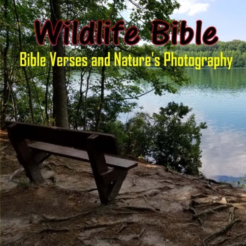 Wildlife Bible: Bible Verses and Nature’s Photography: Mahoney, C ...