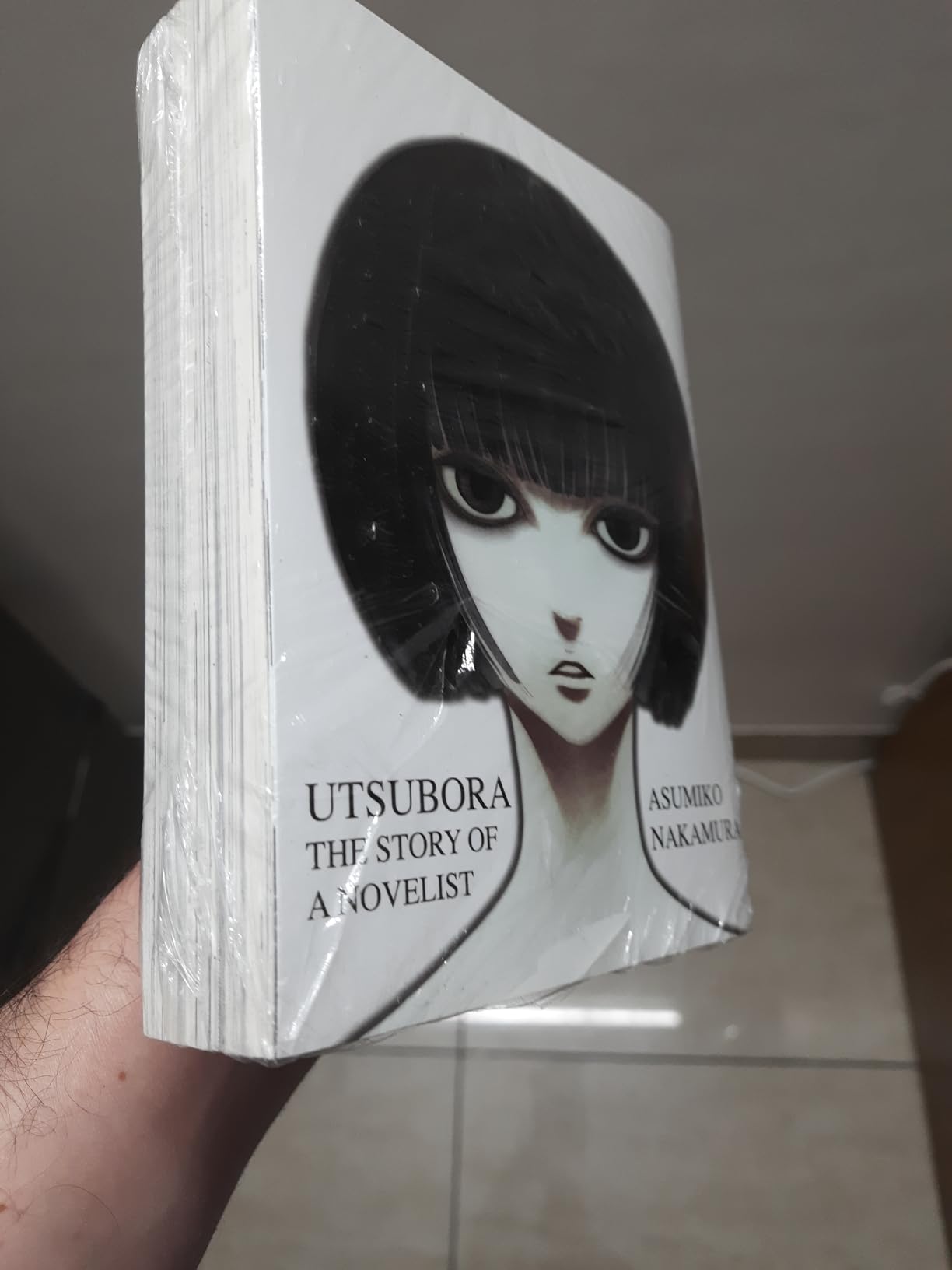 Utsubora: The Story of a Novelist