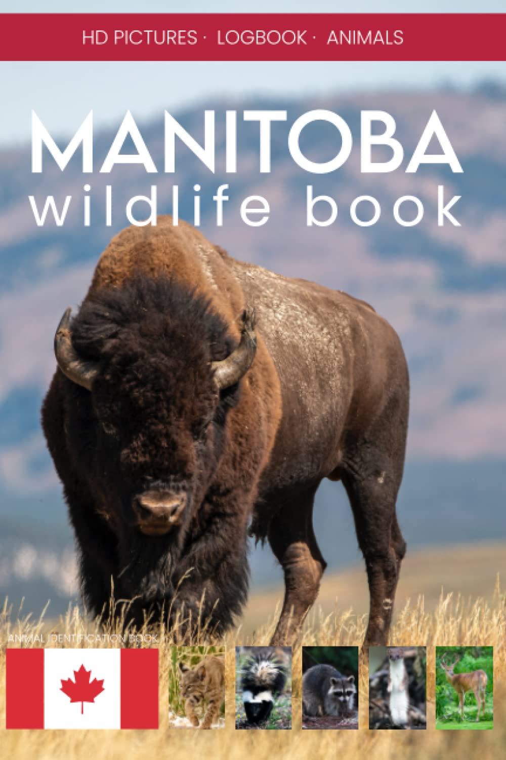 Animals That Live In Manitoba Canada 7 Amazing Manitoba Wildlife Facts