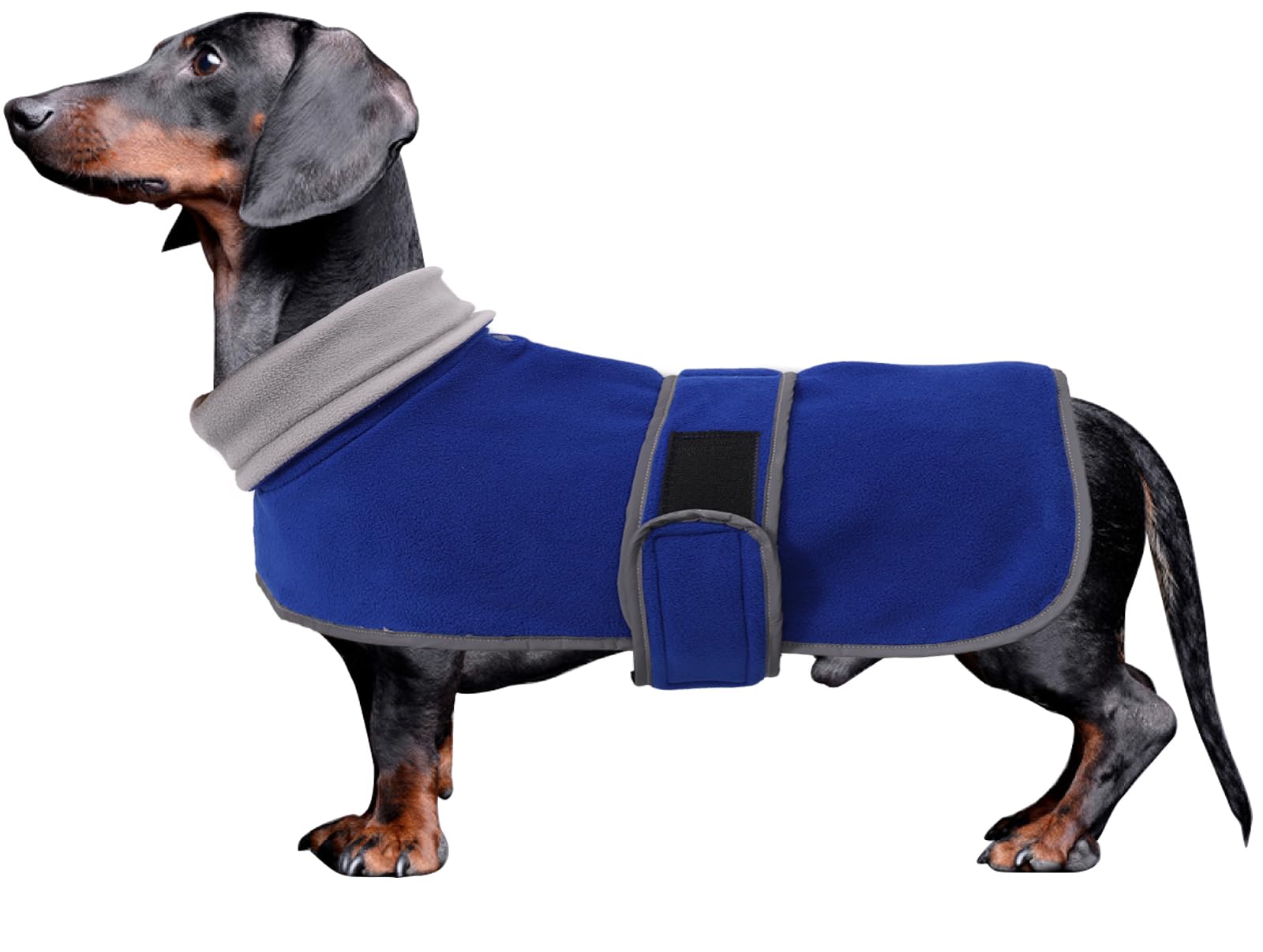 Amazon.com : Dachshund Coats Sausage Dog Fleece Coat in Winter ...