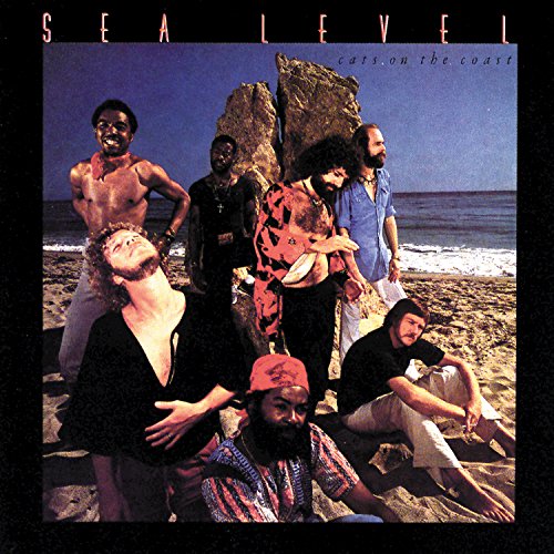 Play Cats On The Coast by Sea Level on Amazon Music