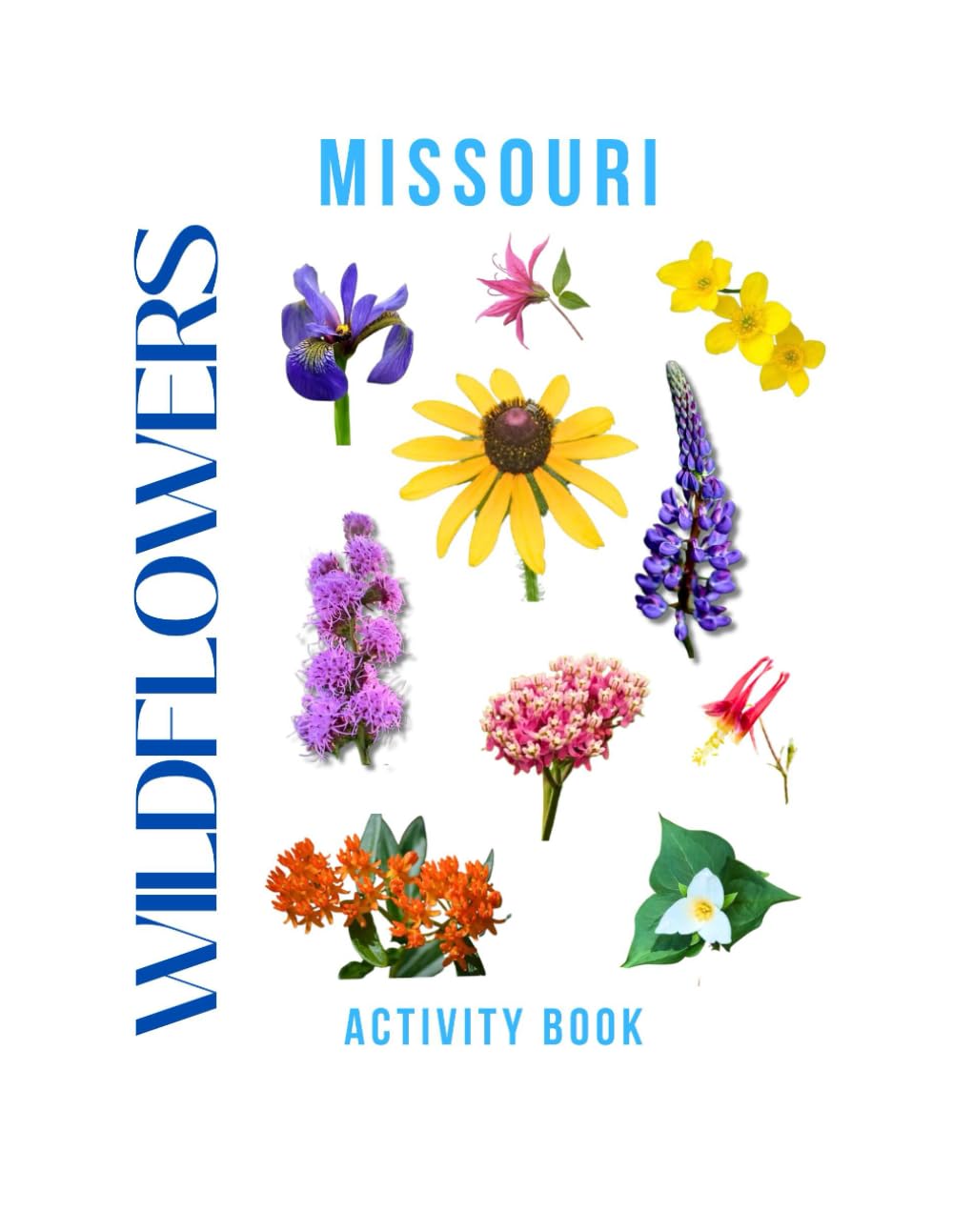 Wildflowers of Missouri Activity Book: A Young Explorer's Field Guide ...