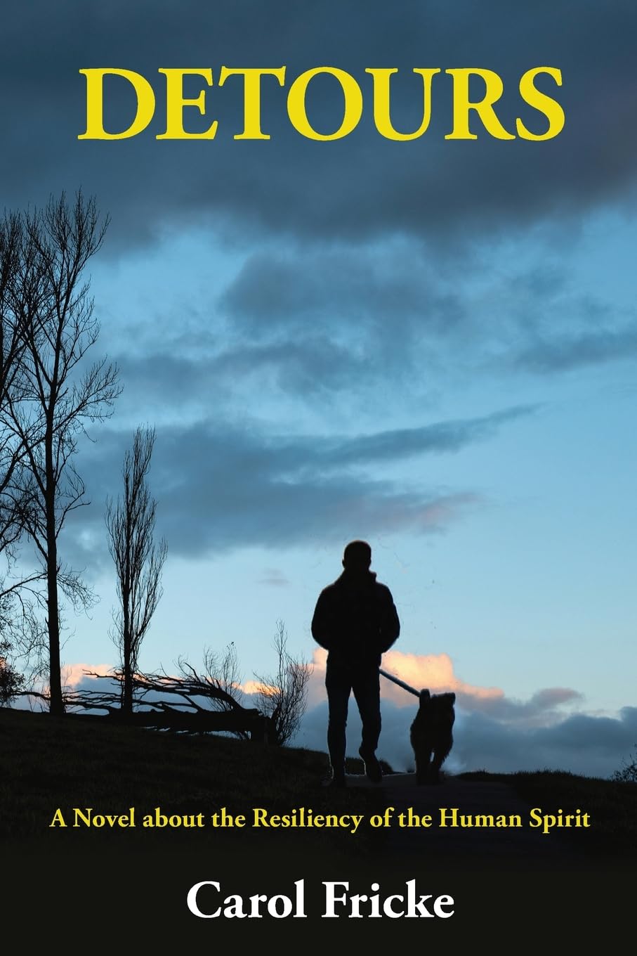 DETOURS: A Novel about the Resiliency of the Human Spirit: Fricke ...