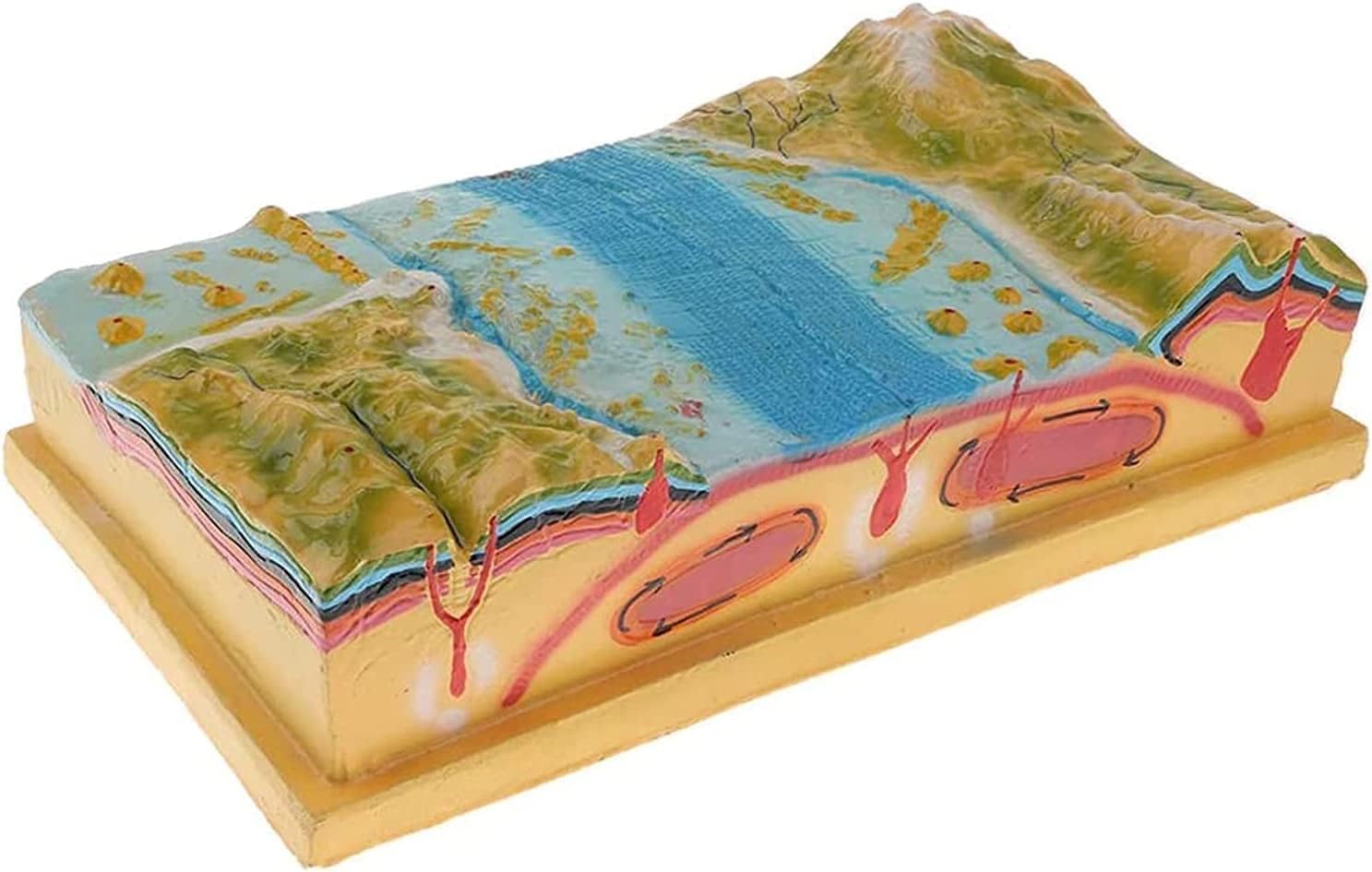 Plate Structure and Surface Morphology Model, 3D Plate Tectonics Model ...