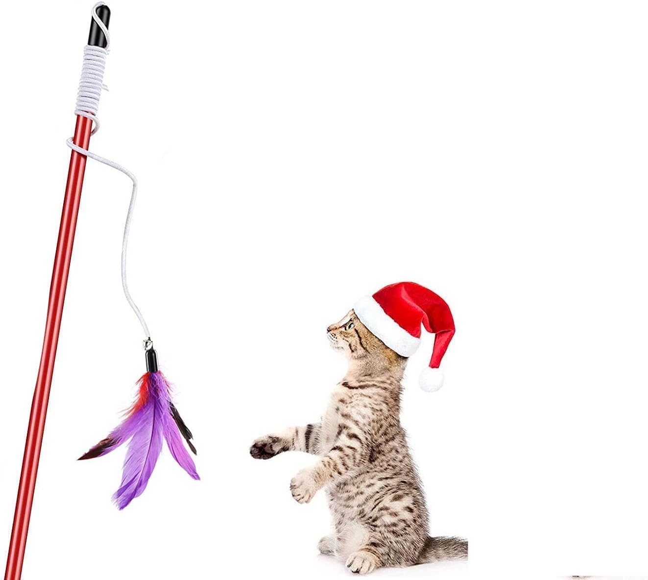 Buy The Pets Company Cat Retractable Bell Teaser Wand Toy, Interactive ...