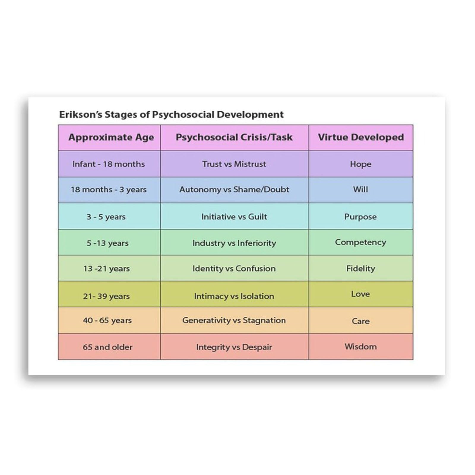 Erik Erikson Stages Of Development Chart Erikson's Stages" Magnet For