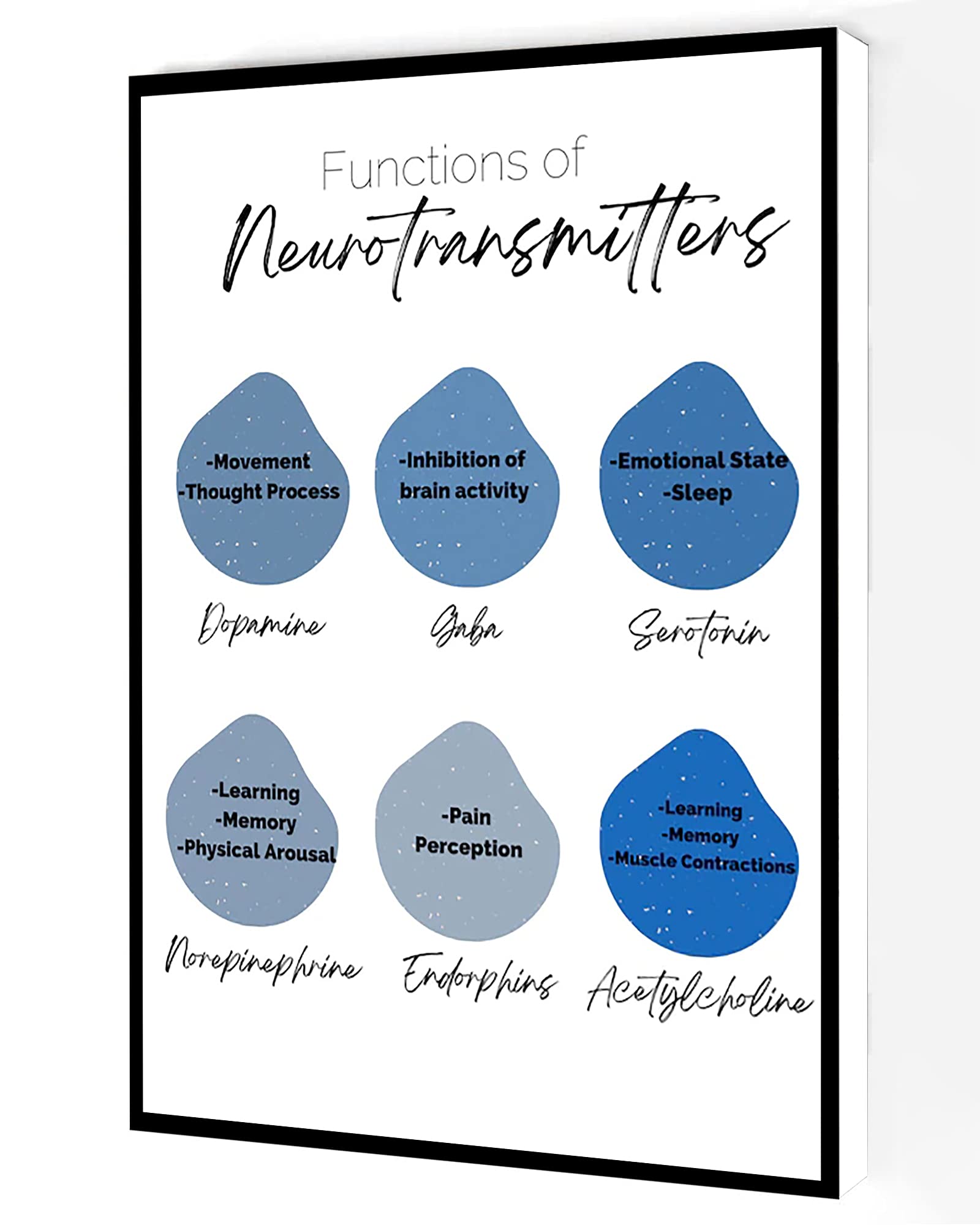 Neurotransmitters And Their Functions Neurotransmission An Overview