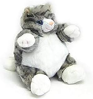 The Purrfect Tabby Cat Combos For Your Furry Friend | PetShun