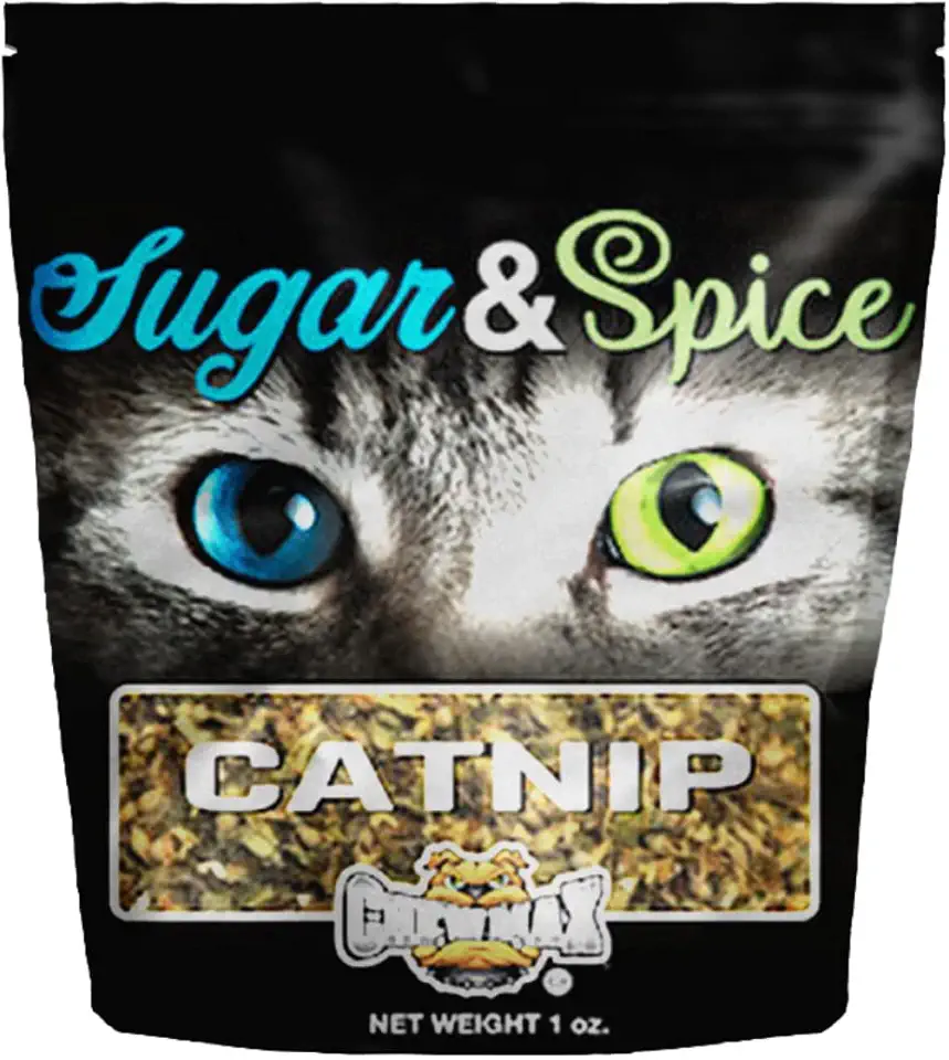 Safe Spices For Feline Friends: What Cats Can Eat | PetShun