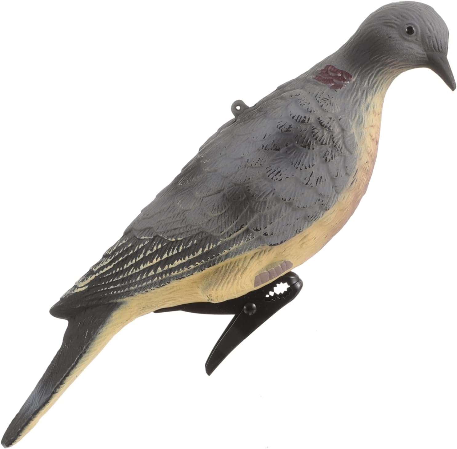 Amazon.com: INOOMP Miniature Simulated Pigeon, Pigeon Figurine ...
