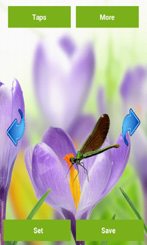 Dragonfly Wallpapers - App on Amazon Appstore