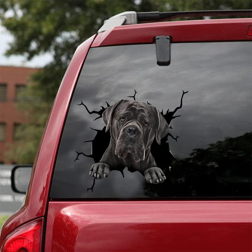 Amazon.com - 3D Cane Corso Dog Crack Car Stickers, Cane Corso Dog ...