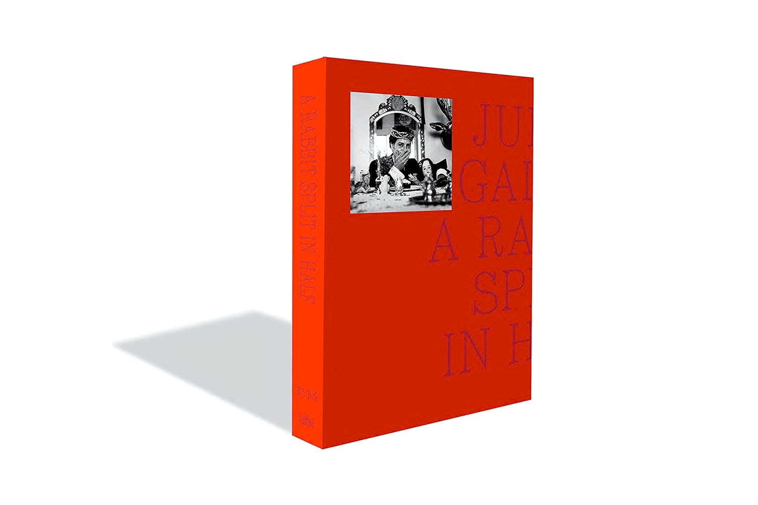 Julio Galán: A Rabbit Split in Half: Galan, Julio, Arriola, Magalí ...