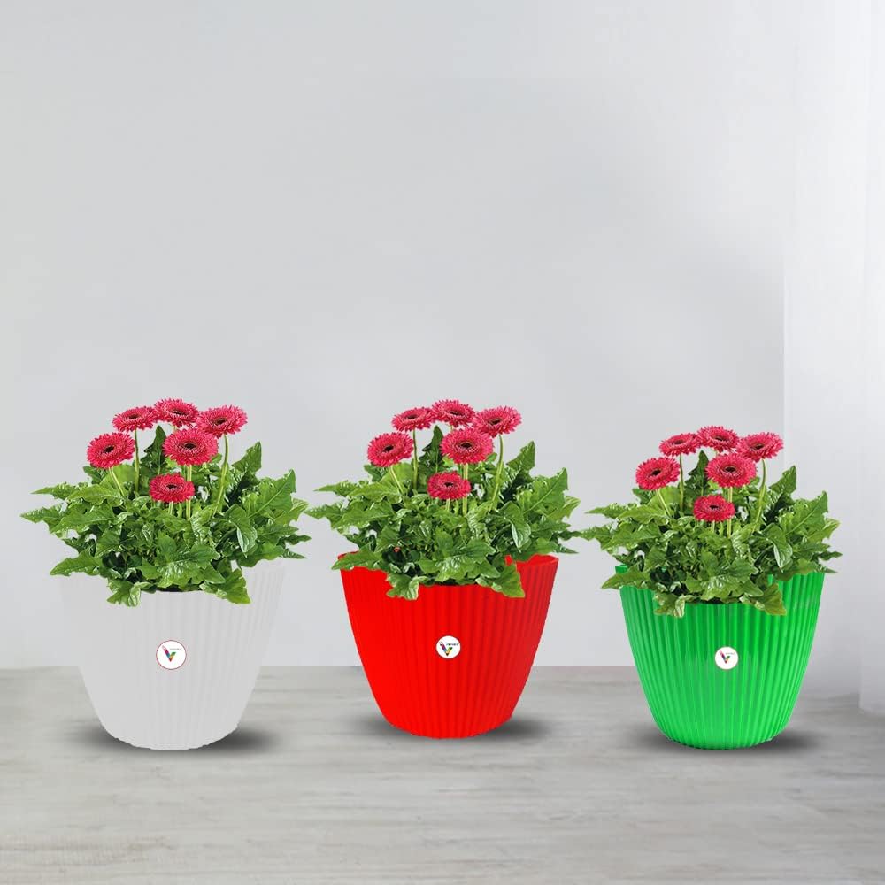Kraft Seeds Fleshy 6 inch Flower Pots With Bottom Trays (8 Pcs ...