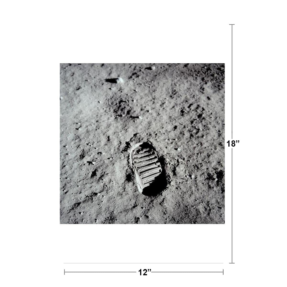 Neil Armstrong On The Moon With Flag Black And White