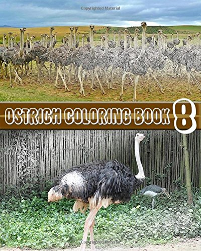 Amazon.com: Ostrich (Ostrich Coloring Book): 9781544808383: Mimic Mock ...