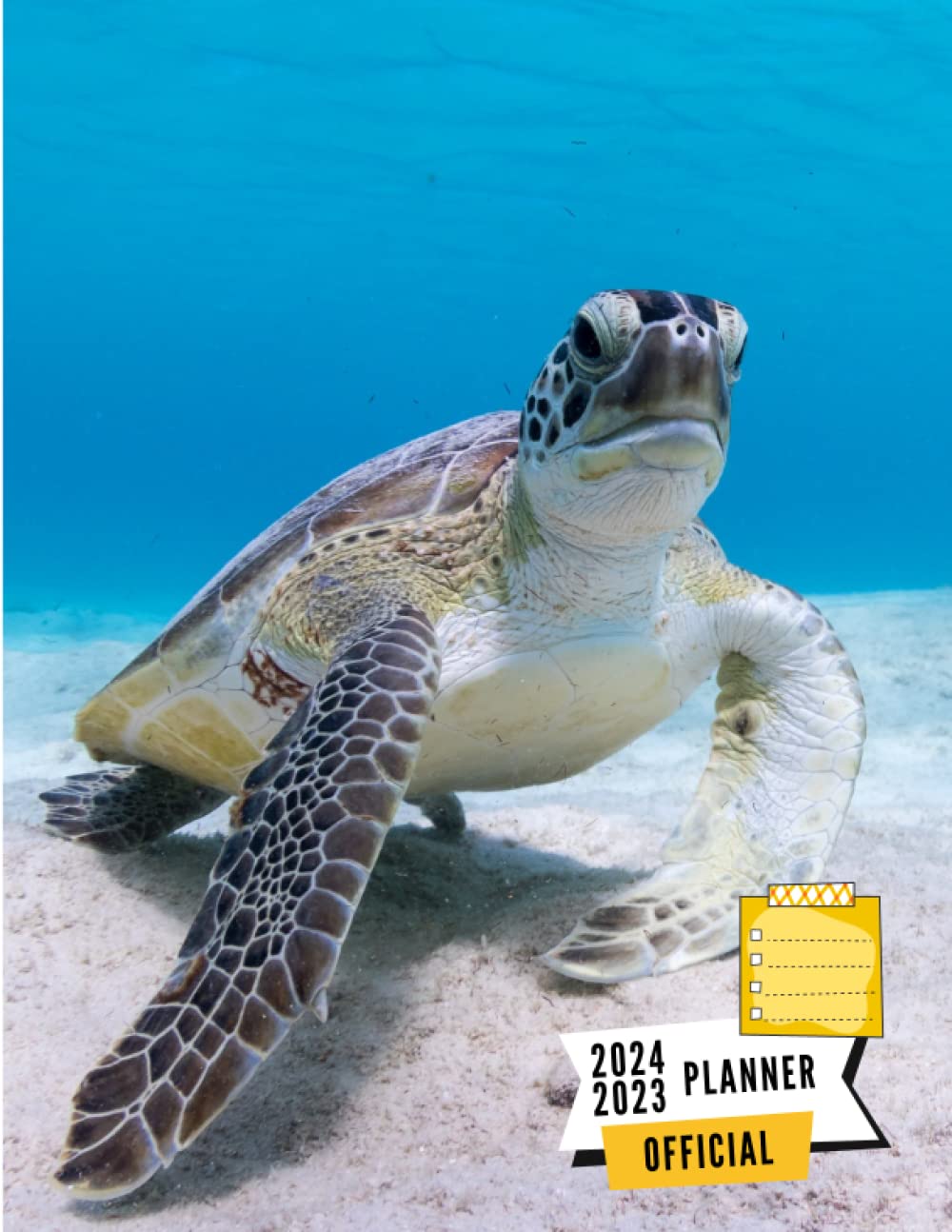 Turtle 2023 2024 calendar: Turtles Two Years monthly planner 2023 2024 ...