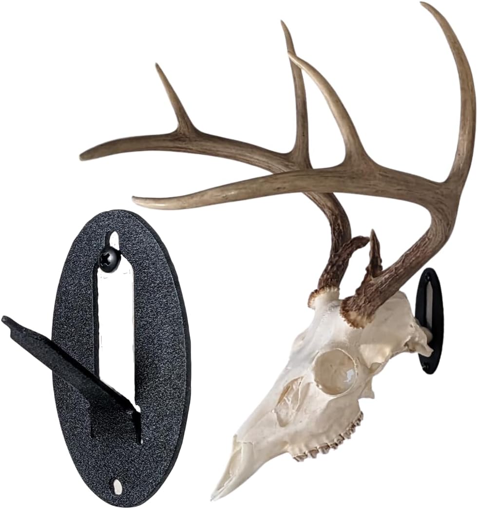 Amazon.com: Kabash Outdoors - Easy European Mount Skull Hanger - Made ...