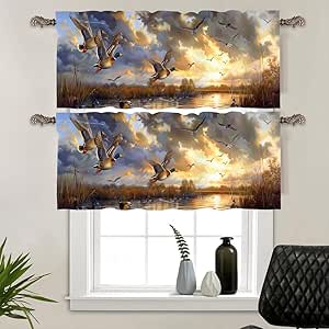 Amazon.com: HDESDIS 2 Panels Reed Pond Sunset Valance for Windows ...