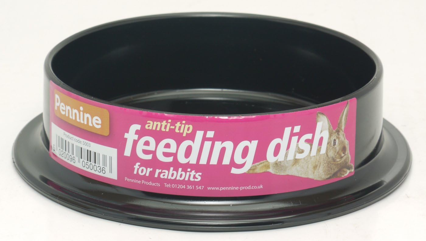 Anti Tip Rabbit Feeding Dish, Clear : Amazon.co.uk: Pet Supplies