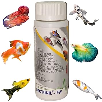 Buy Gene Eleven Jeffrey Bactonil-Fw Internal&External Anti Bacterial,60 ...