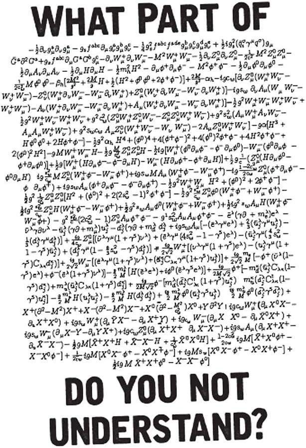 Amazon.com: Standard Model Lagrangian Poster - Canvas - Particle ...