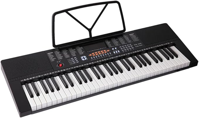 CANNIL 61-Key Electronic Keyboard Piano, Electric Piano Portable Piano ...