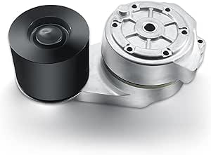 RABROPAR - Tensor de correa compatible con Cummins ISX QSX 4299091 ...