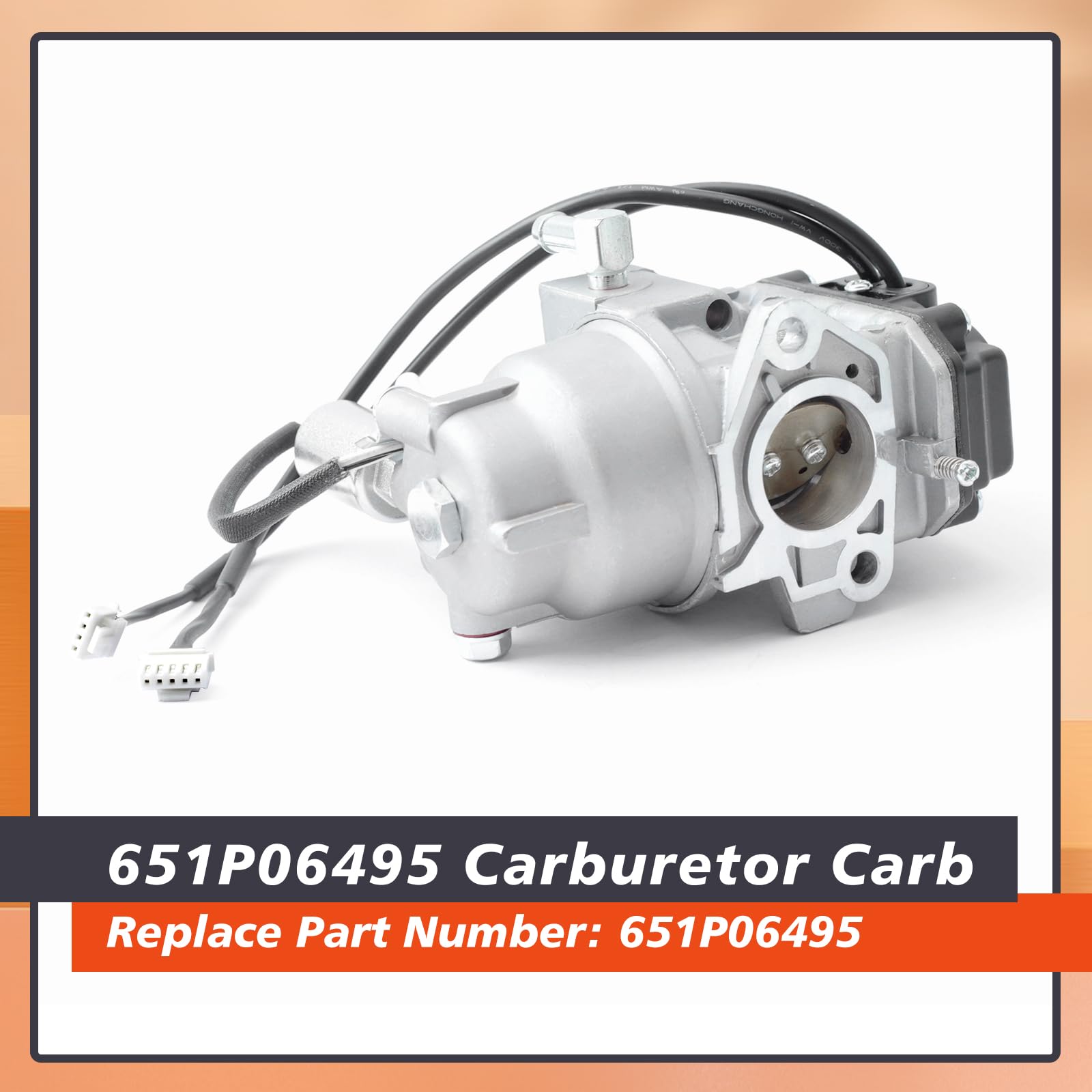 Snapklik.com : 651P06495 Carburetor Carb Replacement For Huayi AX90 ...