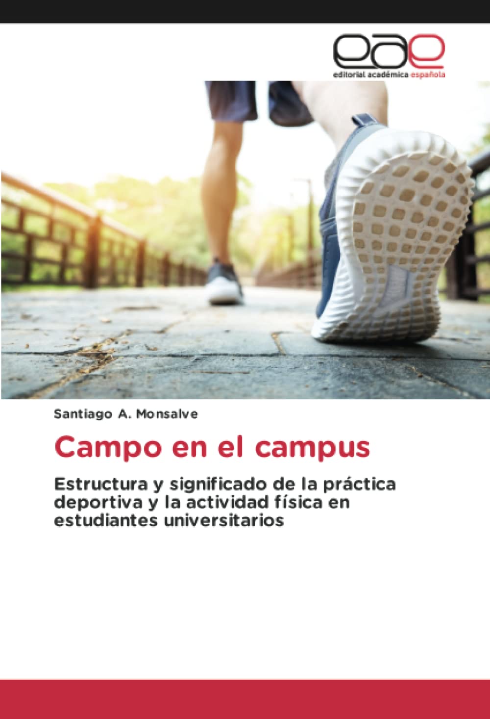 Buy Campo en el campus: Estructura y significado de la práctica ...