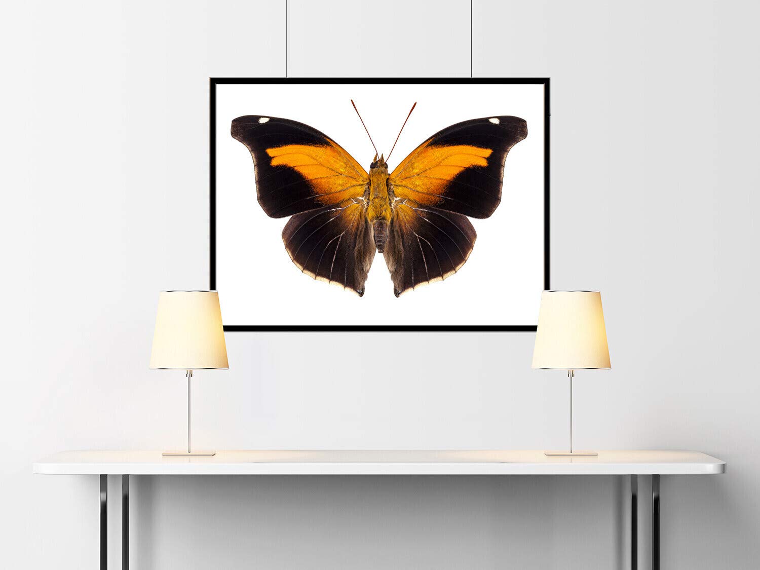 Amazon.com: Test Plug, Mechanical, T-Cone, 6 In : Industrial & Scientific