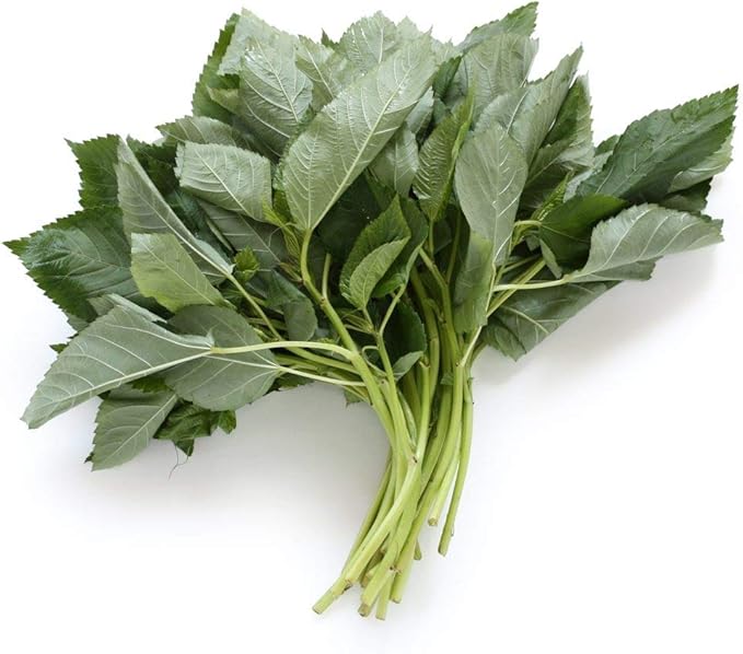 Amazon.com : 2000+ Egyptian Spinach Seeds, Jute Plant, Corchorus ...