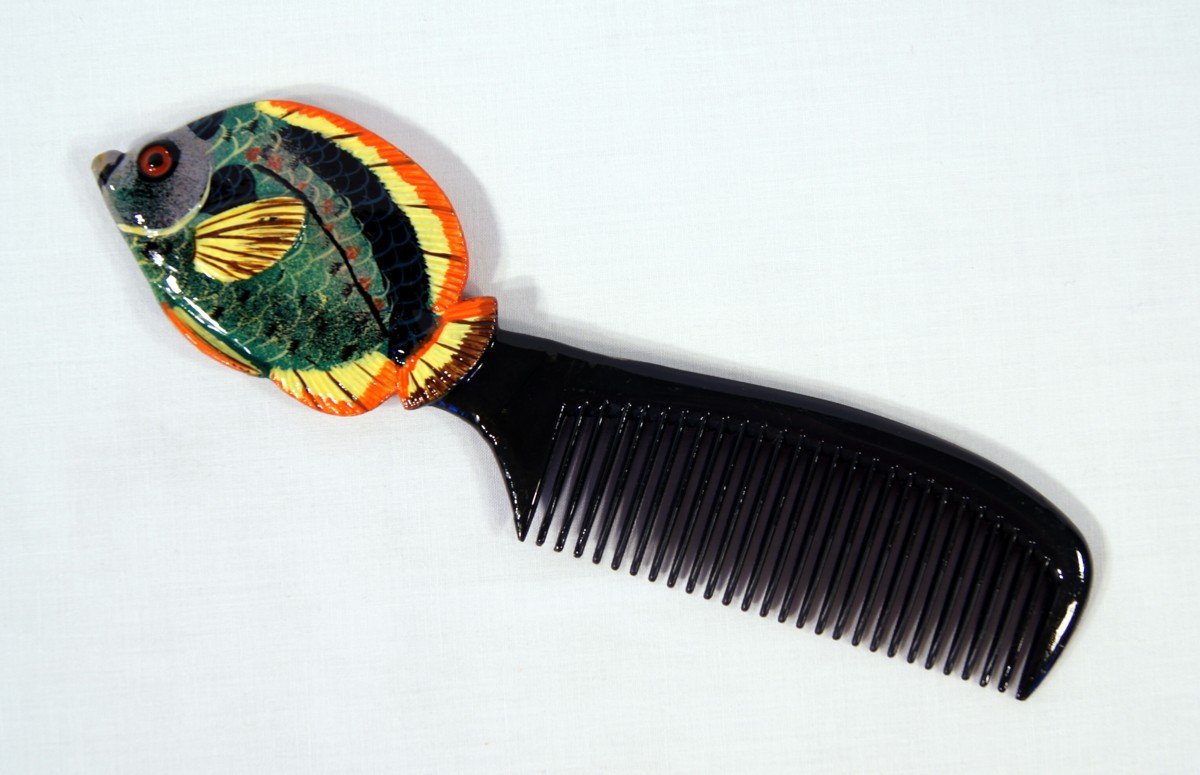 Amazon.com : Handpainted Green Tropical Fish Comb : Hair Combs : Beauty ...