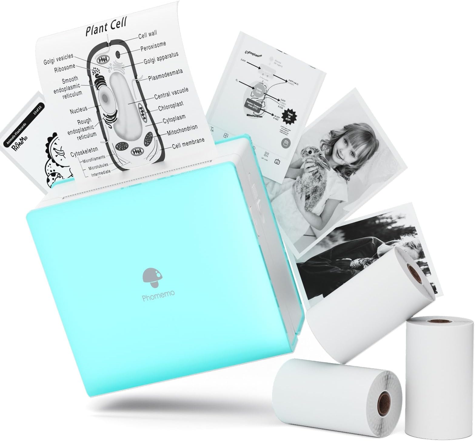 Phomemo Purple M02 Mini Printer With 3 Label Rolls, Pocket Printer for ...