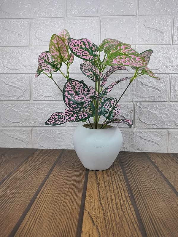 Buy VIMIFORYOU Balcony Plants, Terrace Plant, Decor Pot, Apple Design ...