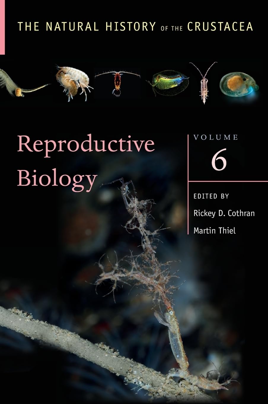Amazon.com: Reproductive Biology: The Natural History of the Crustacea ...