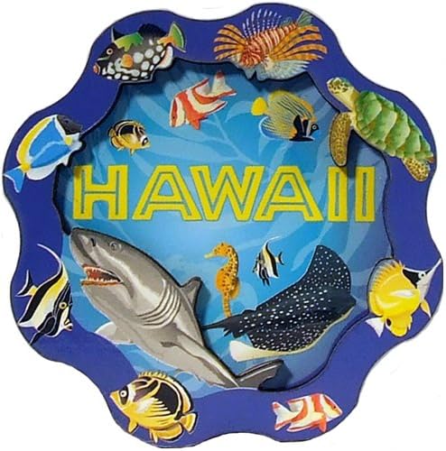 Amazon.com: Sea Life Magnet 2.5" X 2.5": Home & Kitchen