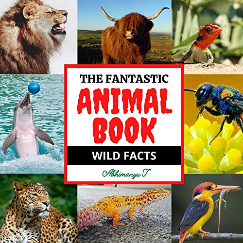 THE FANTASTIC ANIMAL BOOK: WILD FACTS eBook : T, ABHIMANYU: Amazon.in ...
