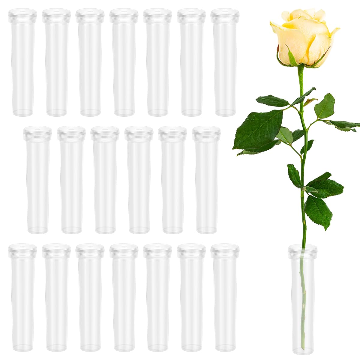 Amazon.com: Vials for Flower Arrangements 2.8 Inch Floral Water Tubes ...