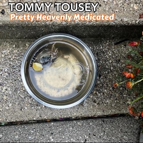 Amazon.co.jp: Pretty Heavenly Medicated : Tommy Tousey: デジタルミュージック