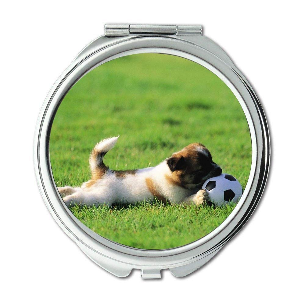 Amazon.com : Mirror,Compact Mirror,Bulldog Puppies dogs pets cute dog ...