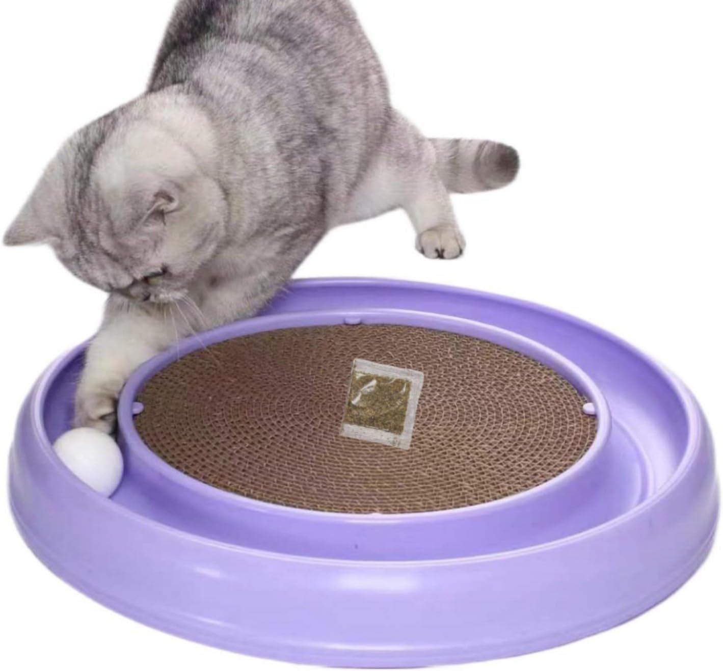 Amazon.com : Round Cat Scratcher Toy,Cat Scratcher Pad with Ball,Kitten ...
