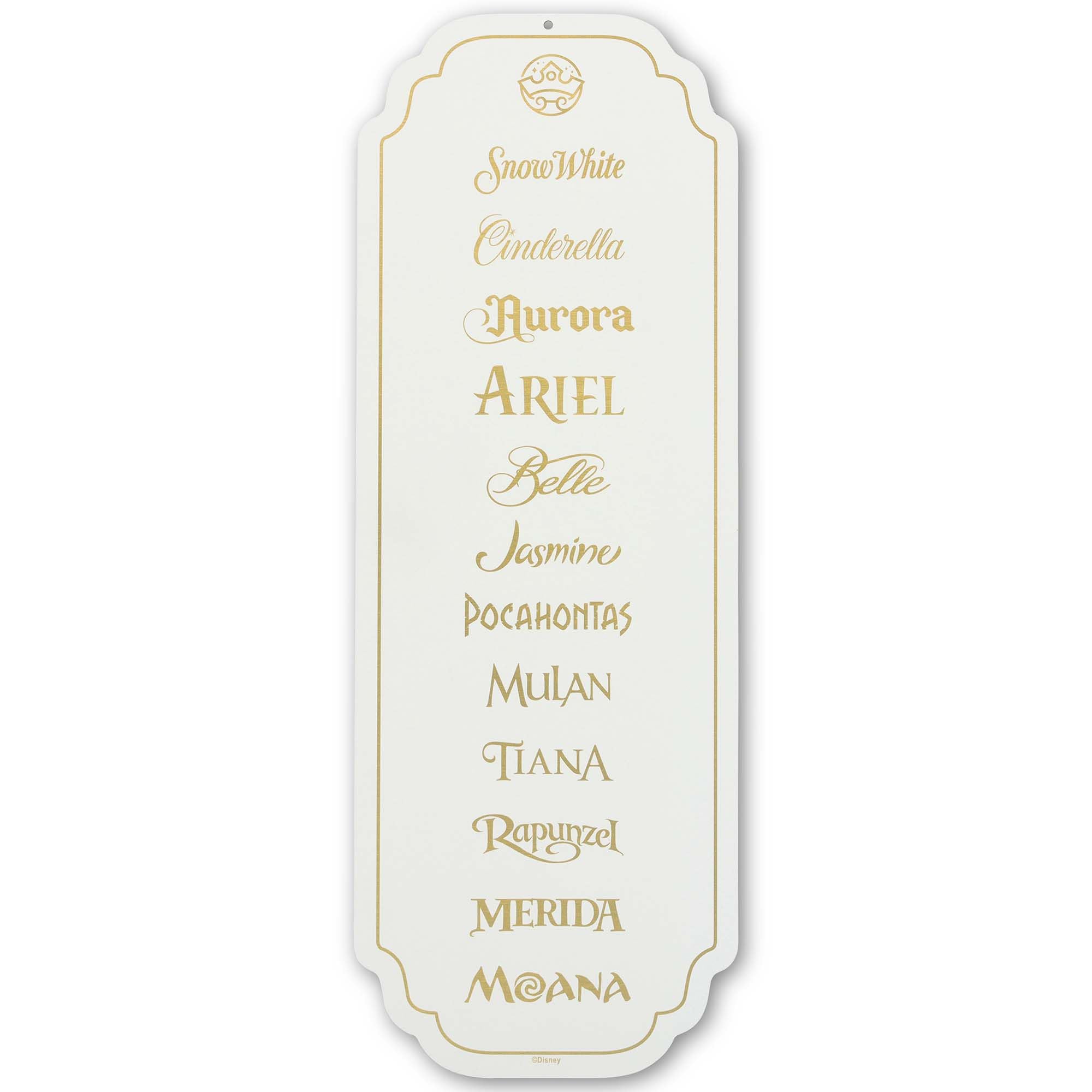 Amazon.com: Disney Princess Names Vertical Metal Sign - Fun Princess ...