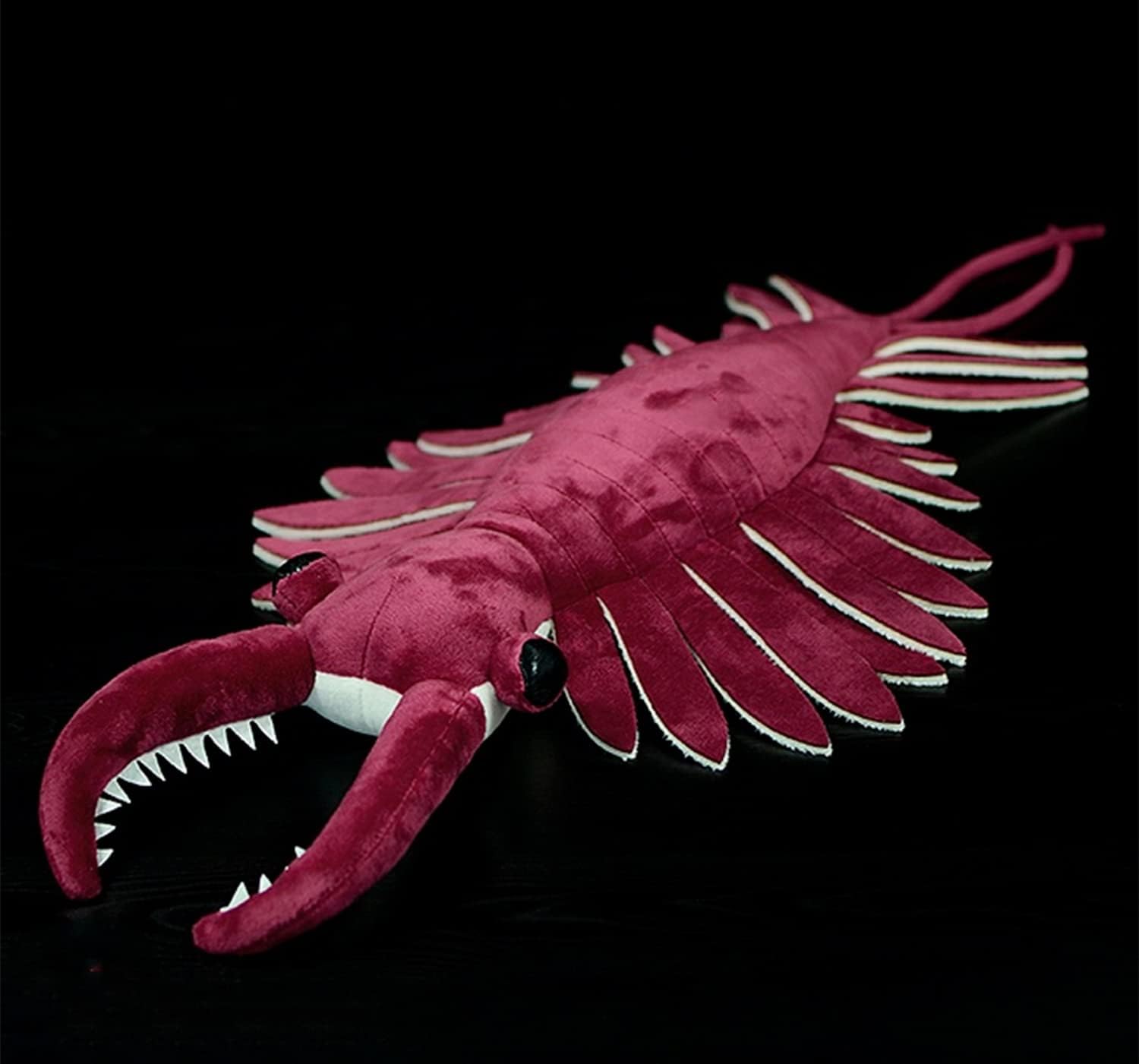 Amazon.com: Frankiezhou Home Realistic Anomalocaris Plush Toy - Lifelike 21" Cambrian Ancient ...