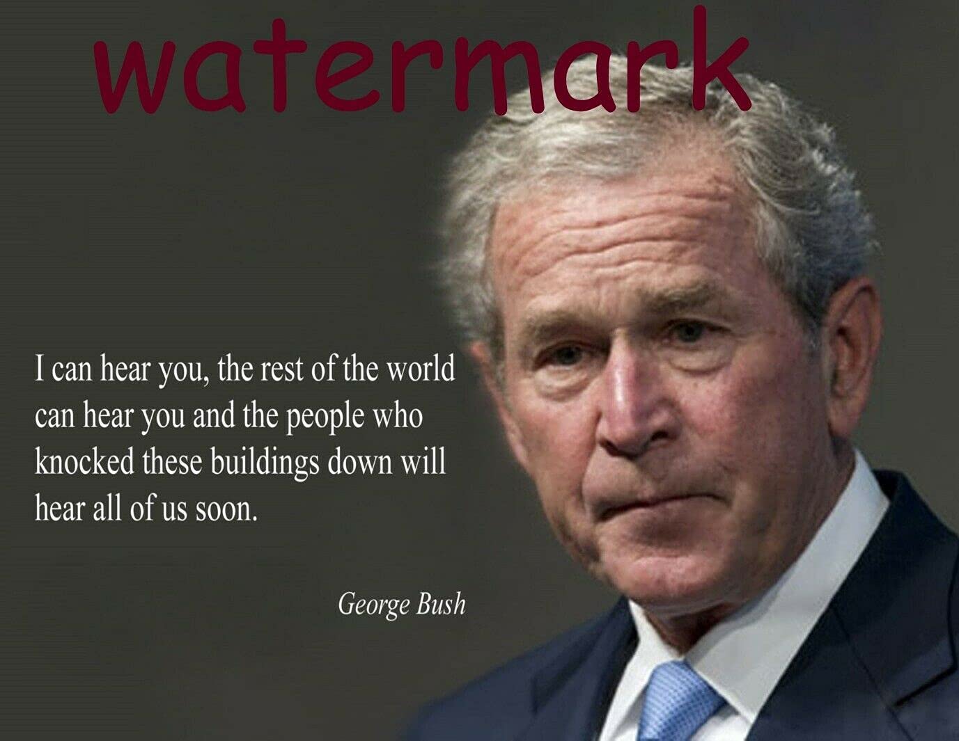 George Bush Brainy Quotes